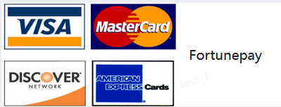 shoplinks 2.0独立站都用什么收单通道-跨境电商独立站自学教程网